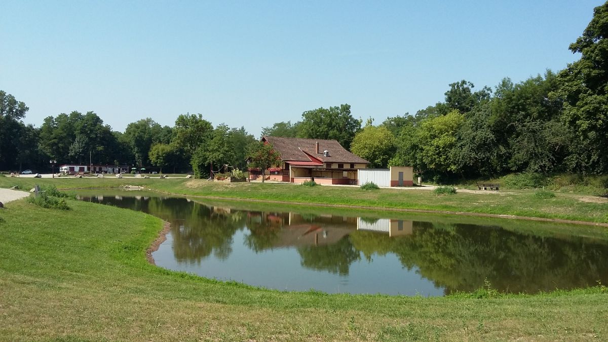 Aménagement de la Bruche et des étangs de l'AAPPMA d'Holtzheim (67 ...